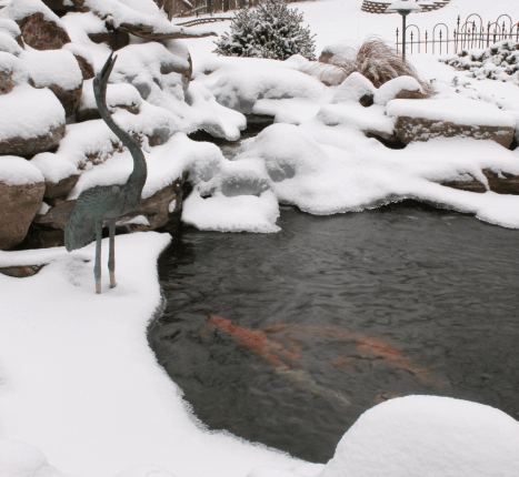 Cold Weather Pond Care | Willow Ridge Garden Center & Landscaping