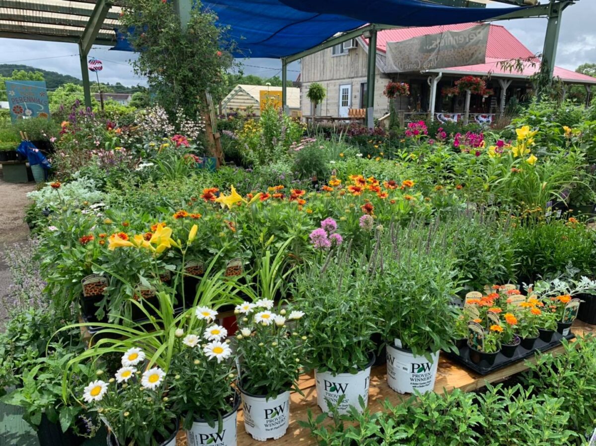 Gifts | Willow Ridge Garden Center & Landscaping