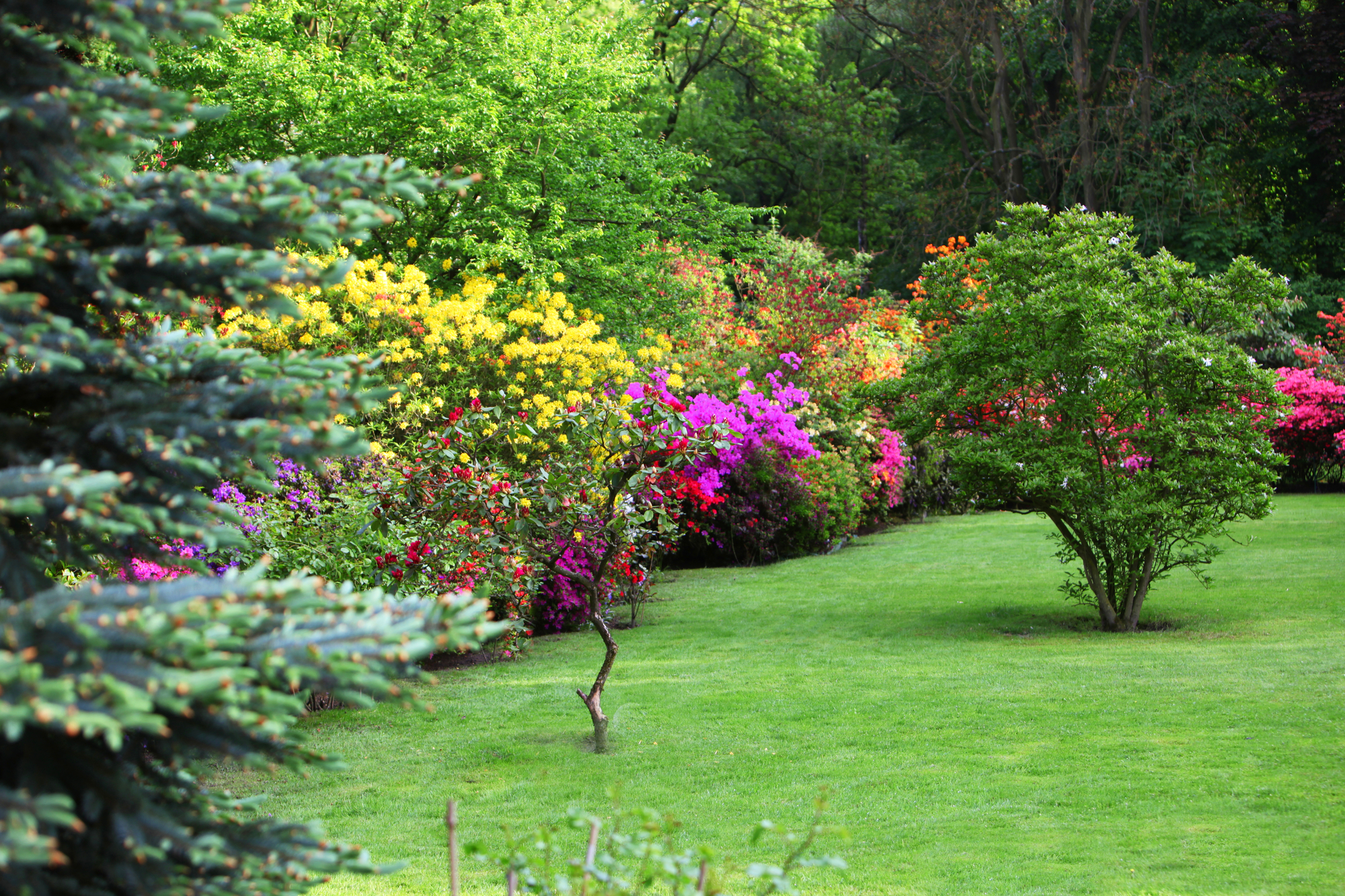 Garden Center Backyard Design Help for Homeowners
